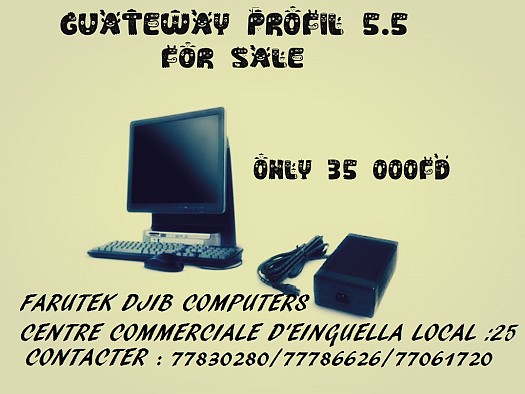 Ordinateurs Gateway Profile 5.5 à Djibouti