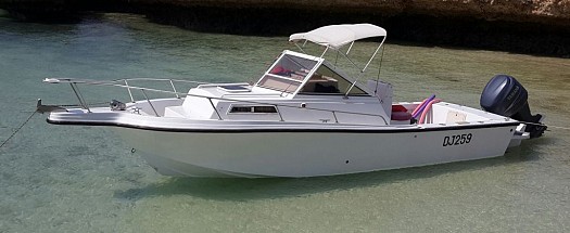 BATEAU MAKO 230 WALKAROUND Yamaha 225CV 4 TEMPS à Djibouti