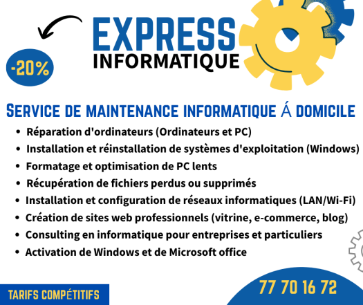 Service de maintenance informatique à domicile à Djibouti