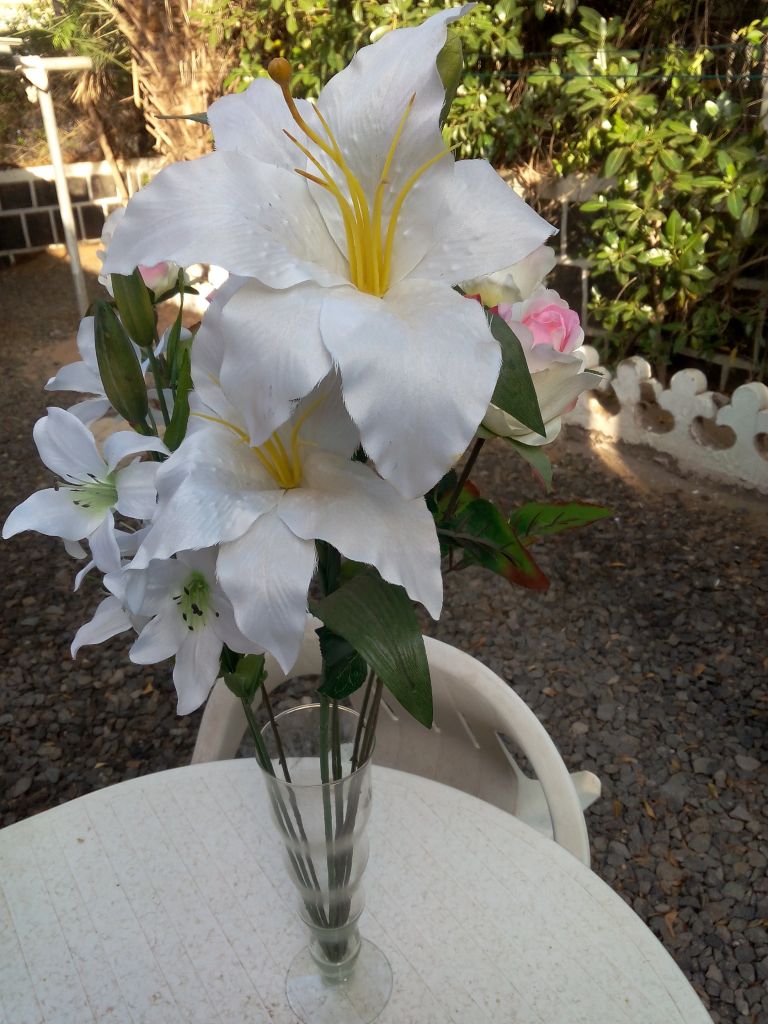 Tige Fleur LYS à Djibouti